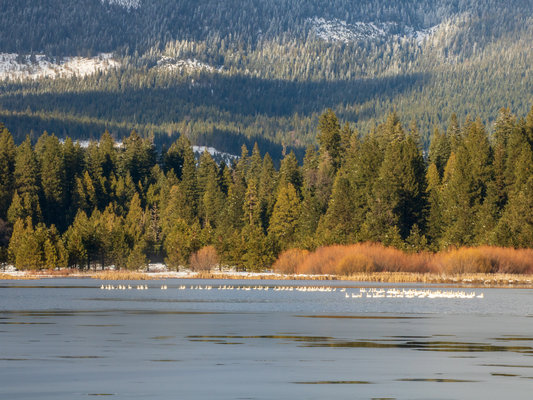 McCumber Reservoir Campground Reviews updated 2021