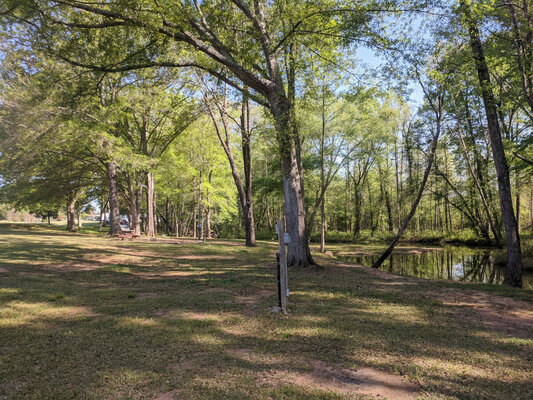 Saluda River Resort Reviews updated 2026