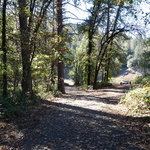 Nelson Point Campground Reviews - Campendium