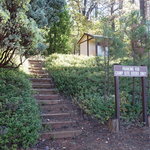 Nelson Point Campground Reviews - Campendium