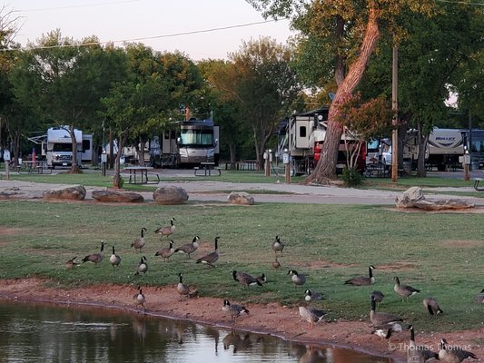 Wichita Falls RV Park Reviews updated 2025