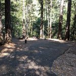 Panther Flat Campground Reviews - Campendium