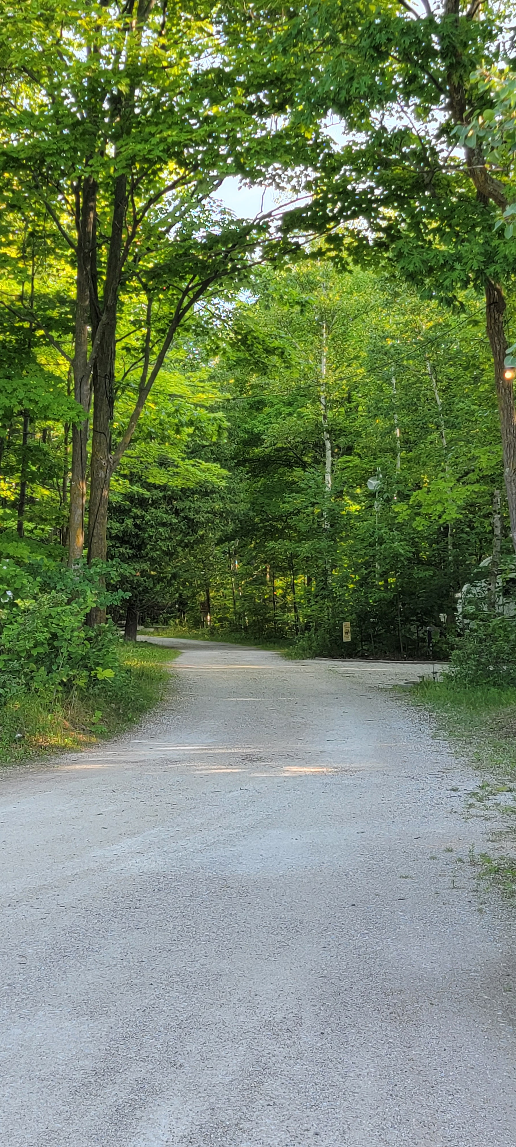 Tranquil Timbers Camping Retreat Reviews updated 2025