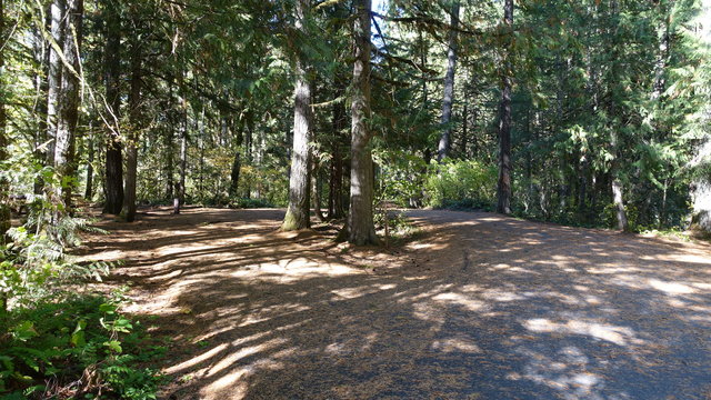 Lockaby Campground updated 2025