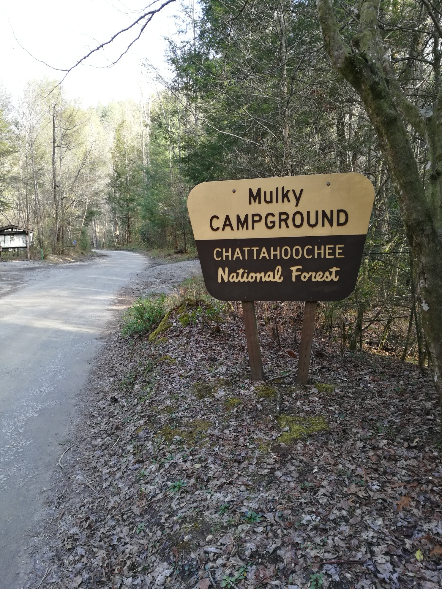 Mulky Campground Reviews updated 2025