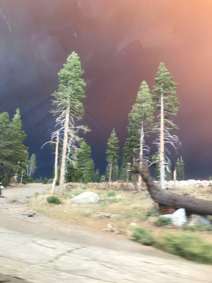 Sagehen Creek Campground updated 2025