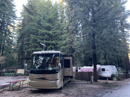 Smithwoods RV Park Reviews updated 2025