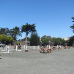 Morro Strand State Beach Reviews updated 2019