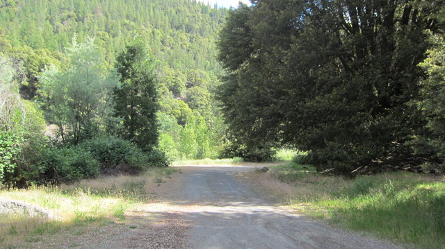 Sarah Totten Campground Reviews updated 2025