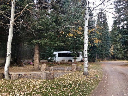 Bruce Spruce Ranch Reviews updated 2025