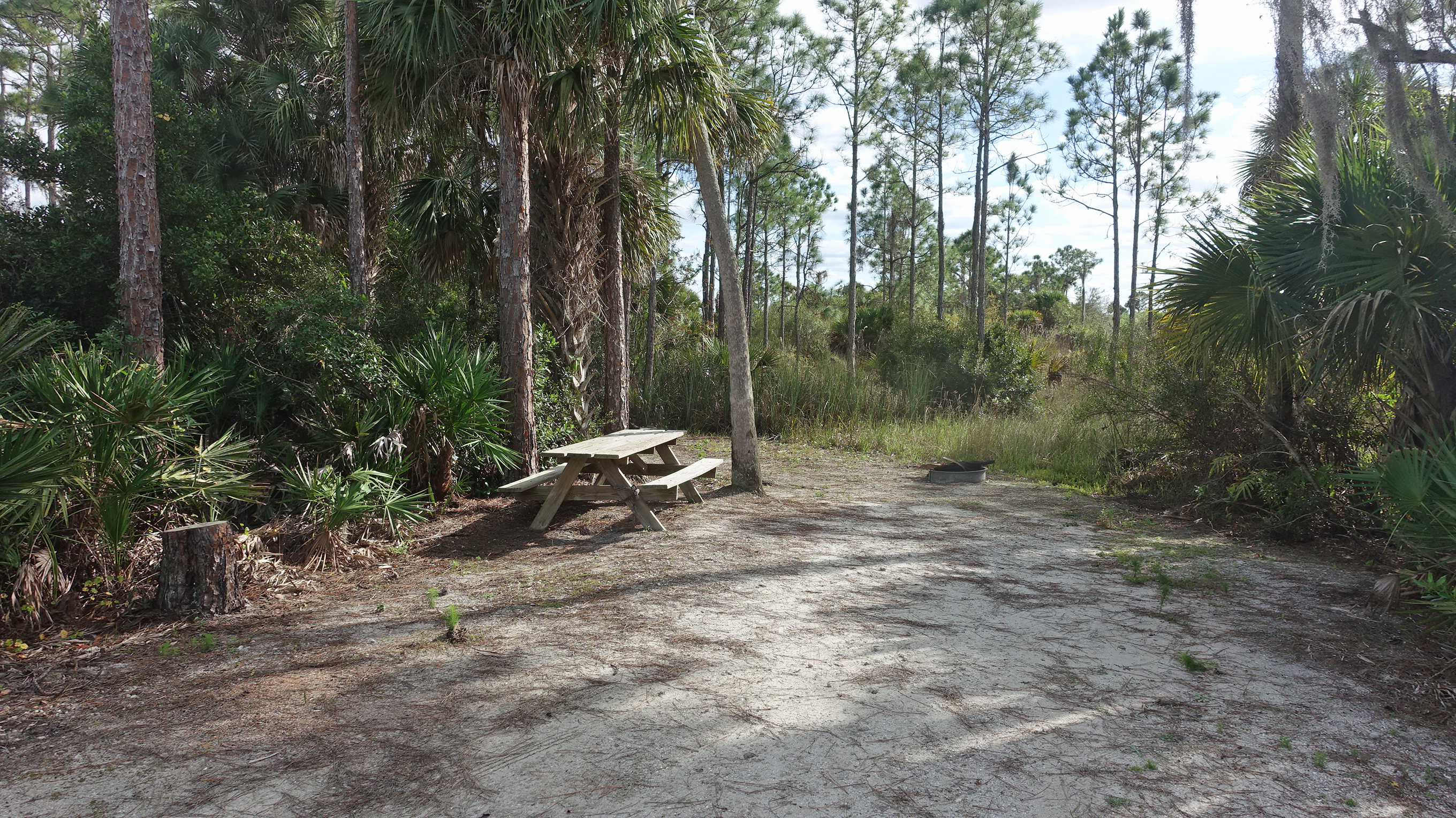 Panther Pond Campground Reviews updated 2026