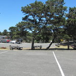 Horsfall Campground Reviews - Campendium