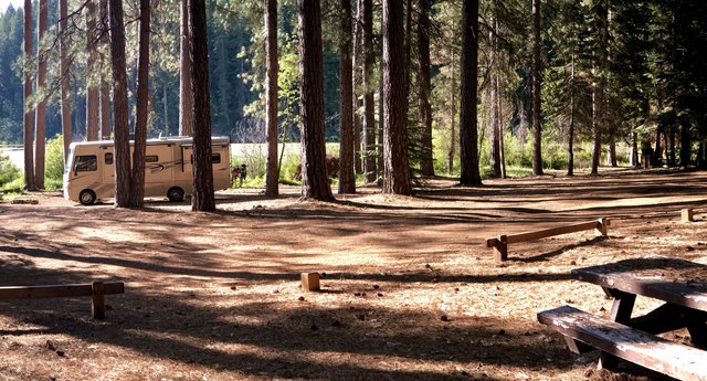 Snake Lake Campground Reviews updated 2025