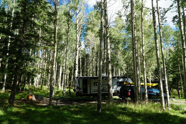 Camp May Campground Reviews updated 2025