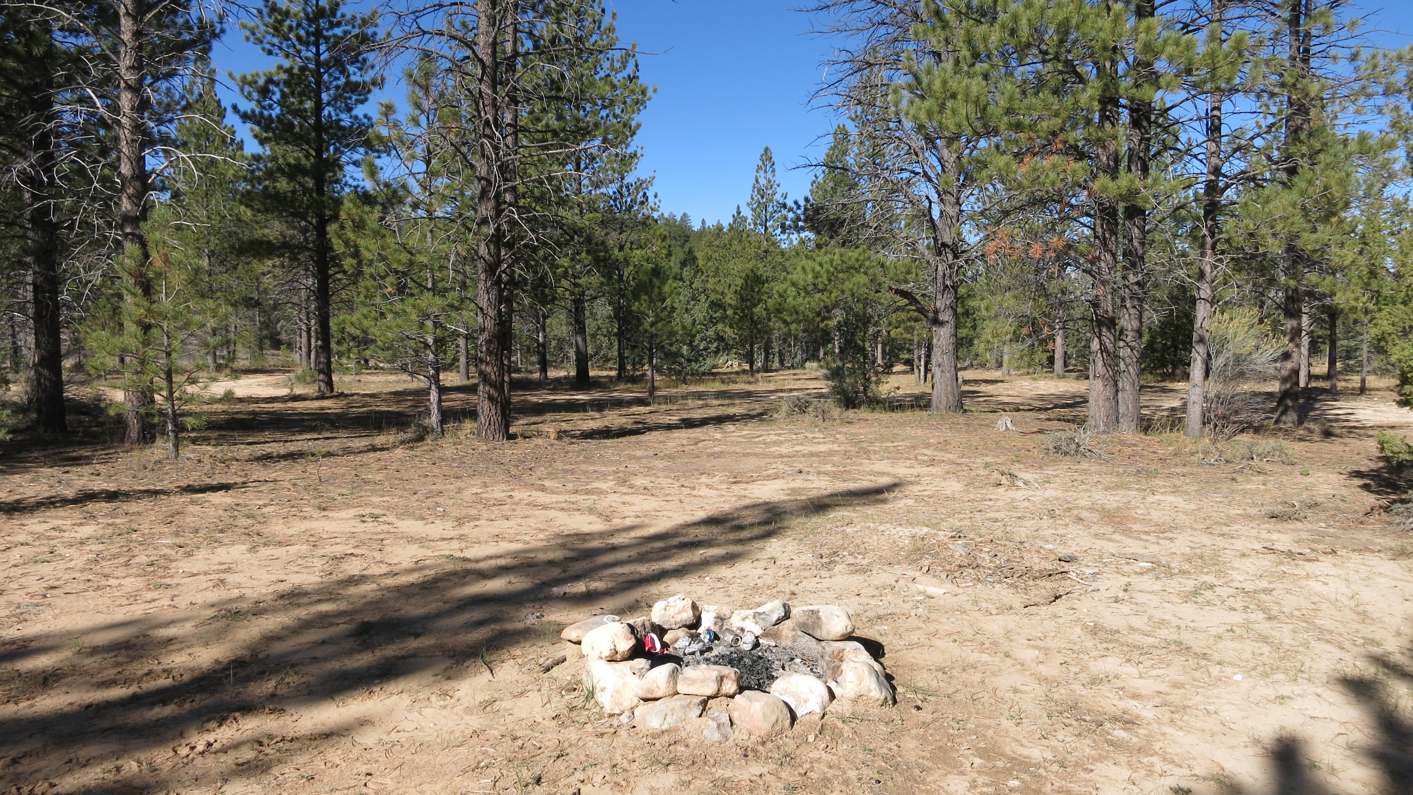 Table Cliff Plateau Dispersed Camping Reviews updated 2025