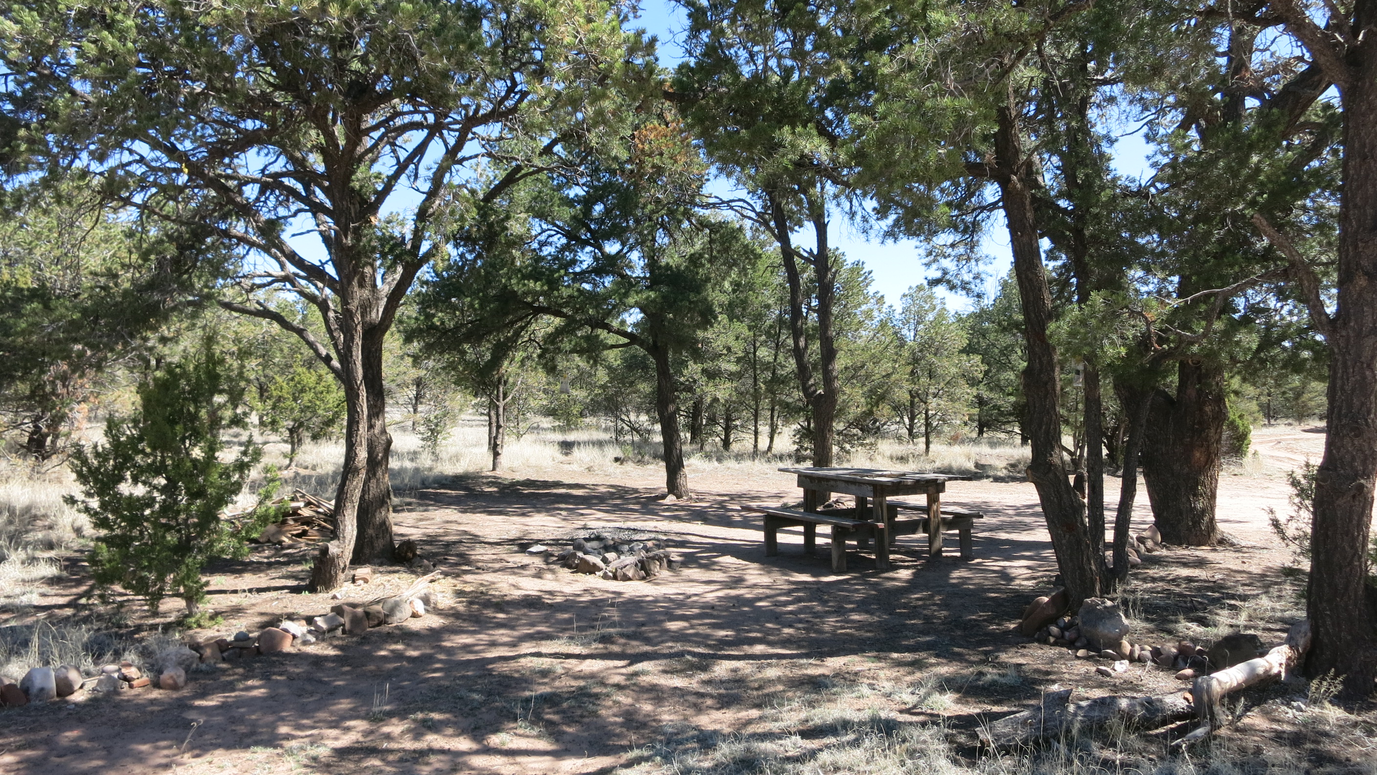 Jackson Park Campground Reviews updated 2025