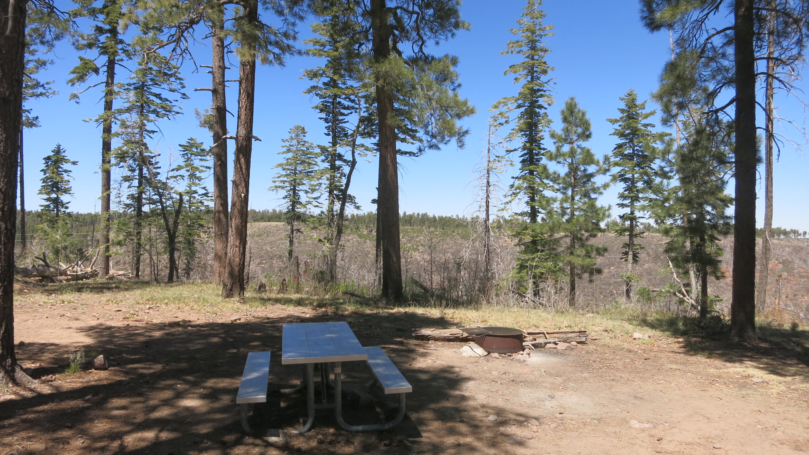 Colcord Ridge Campground Reviews updated 2025