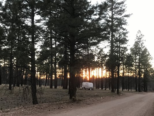 Coconino Rim Road Reviews updated 2020