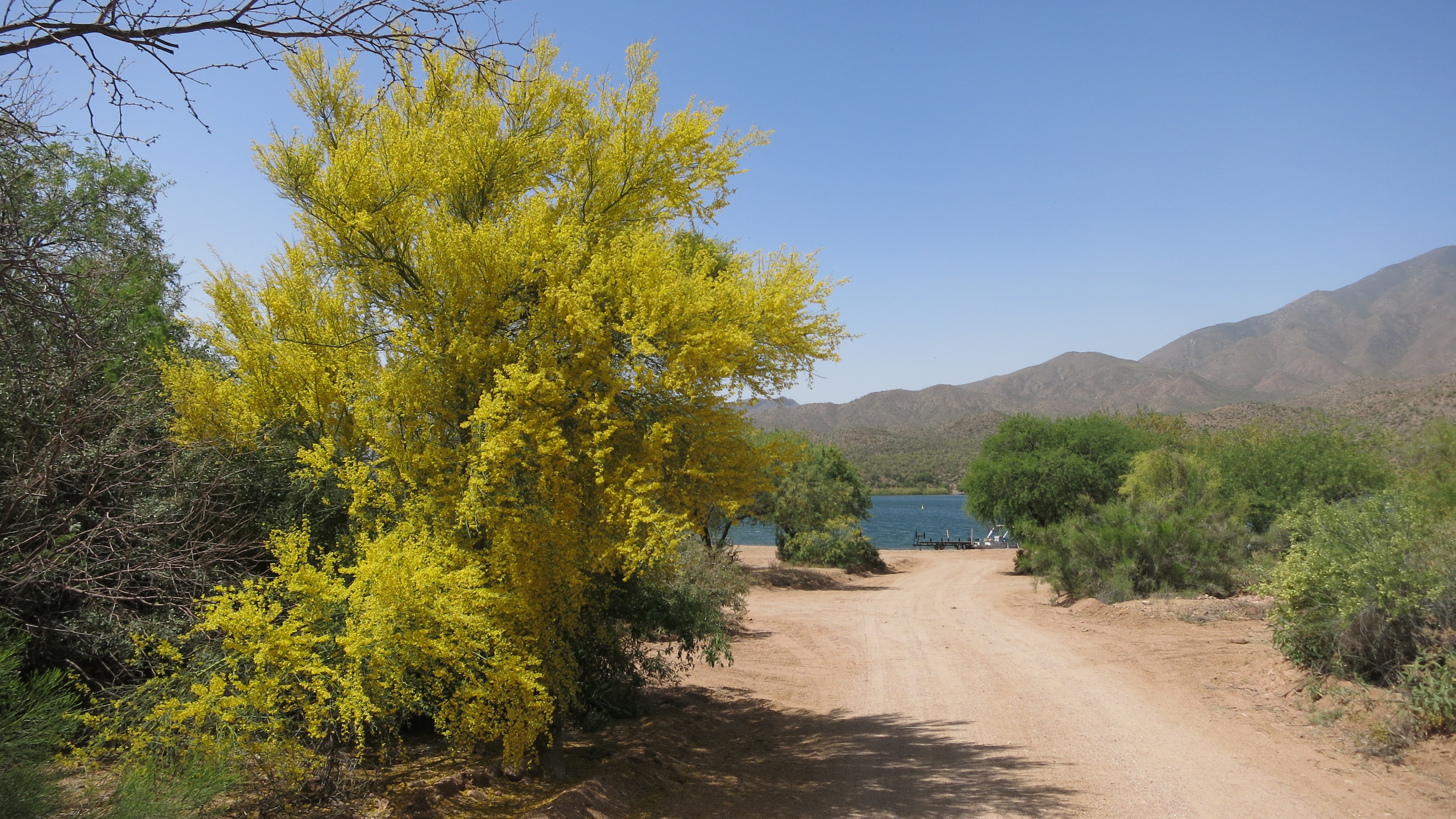 Lower Burnt Corral Campground Reviews