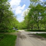 Middle Fork River Campground Reviews - Campendium