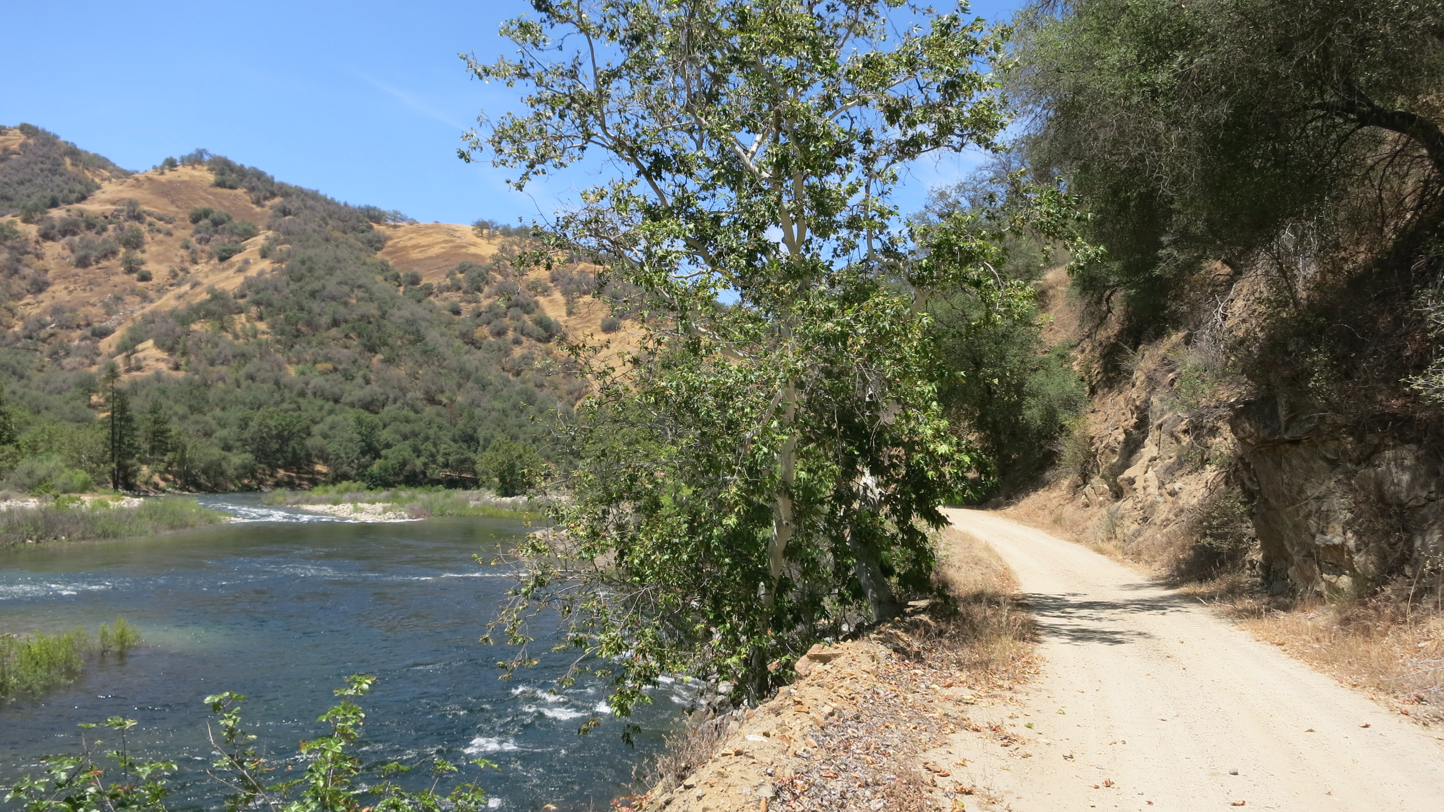 Bear Wallow Camping Area updated 2025