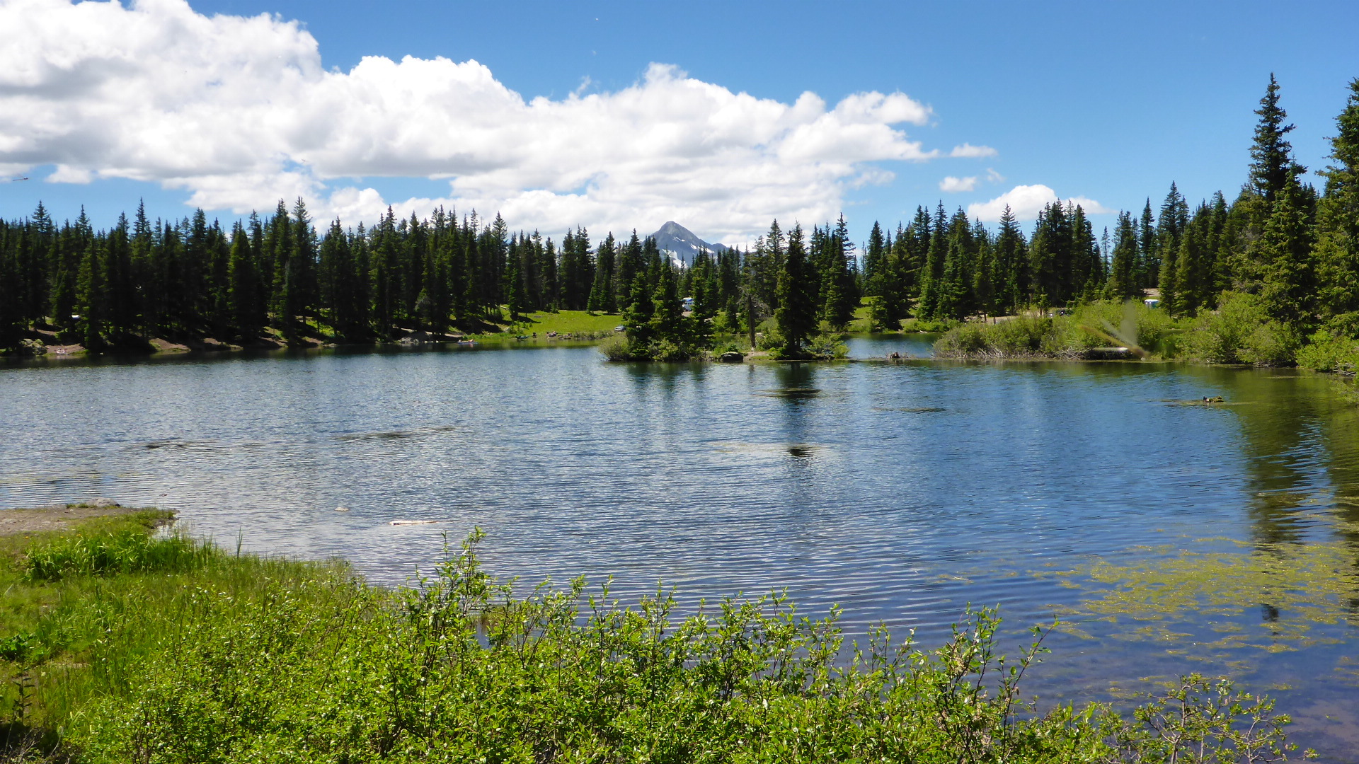 Alta Lakes Designated Dispersed Campsites Reviews updated 2025