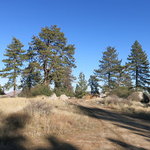 Tool Box Springs Campground Reviews - Campendium