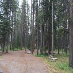 Two Jack Main Campground Reviews - Campendium