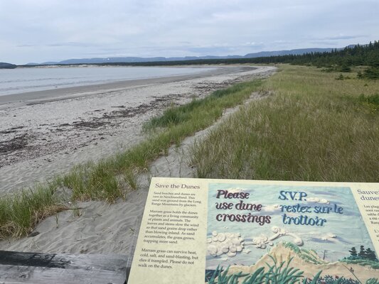 Shallow Bay Campground Reviews updated 2025