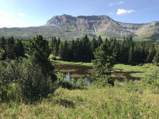 Beauvais Lake Campground Reviews updated 2025