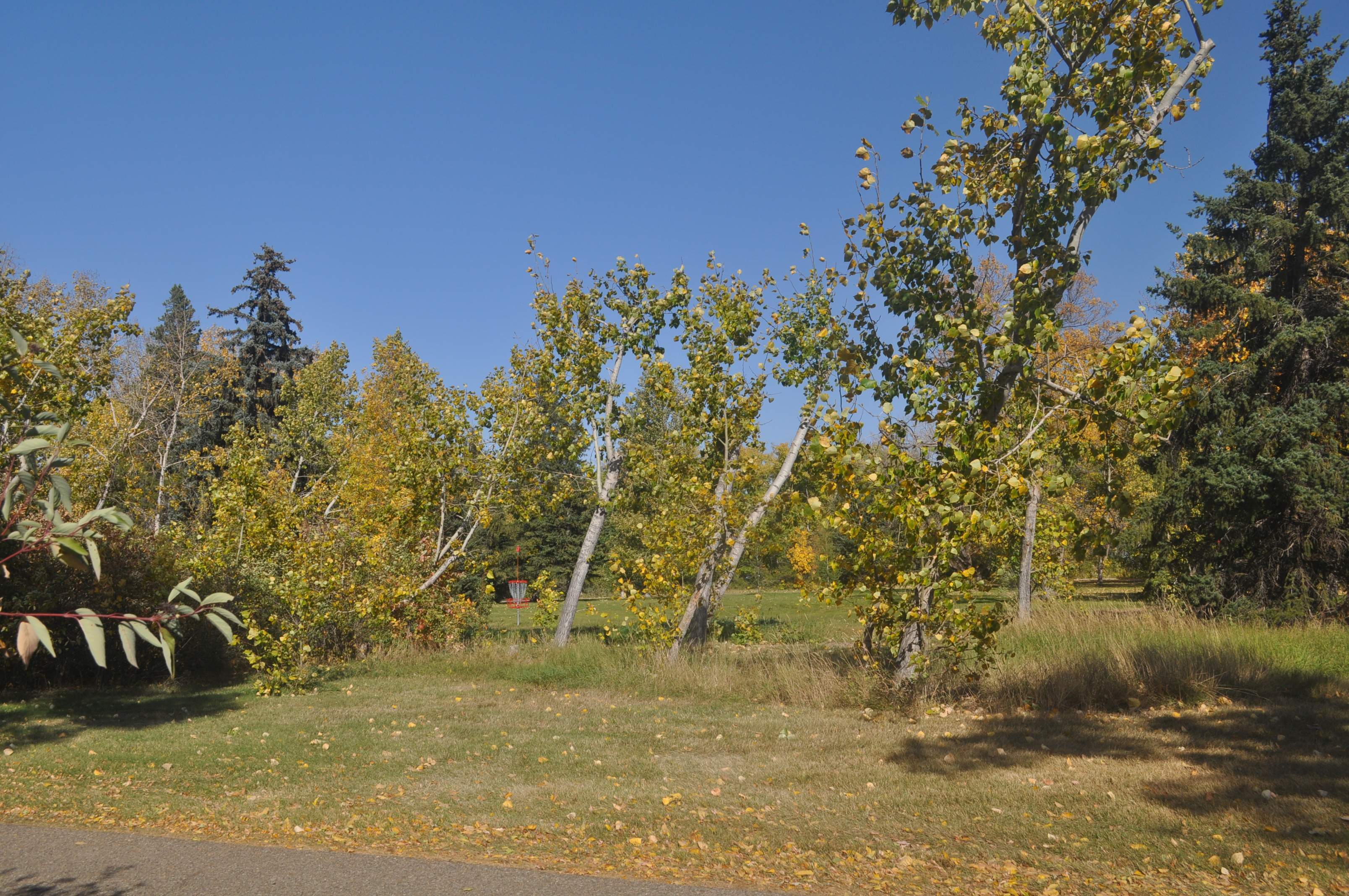 Tillebrook Campground Reviews updated 2025