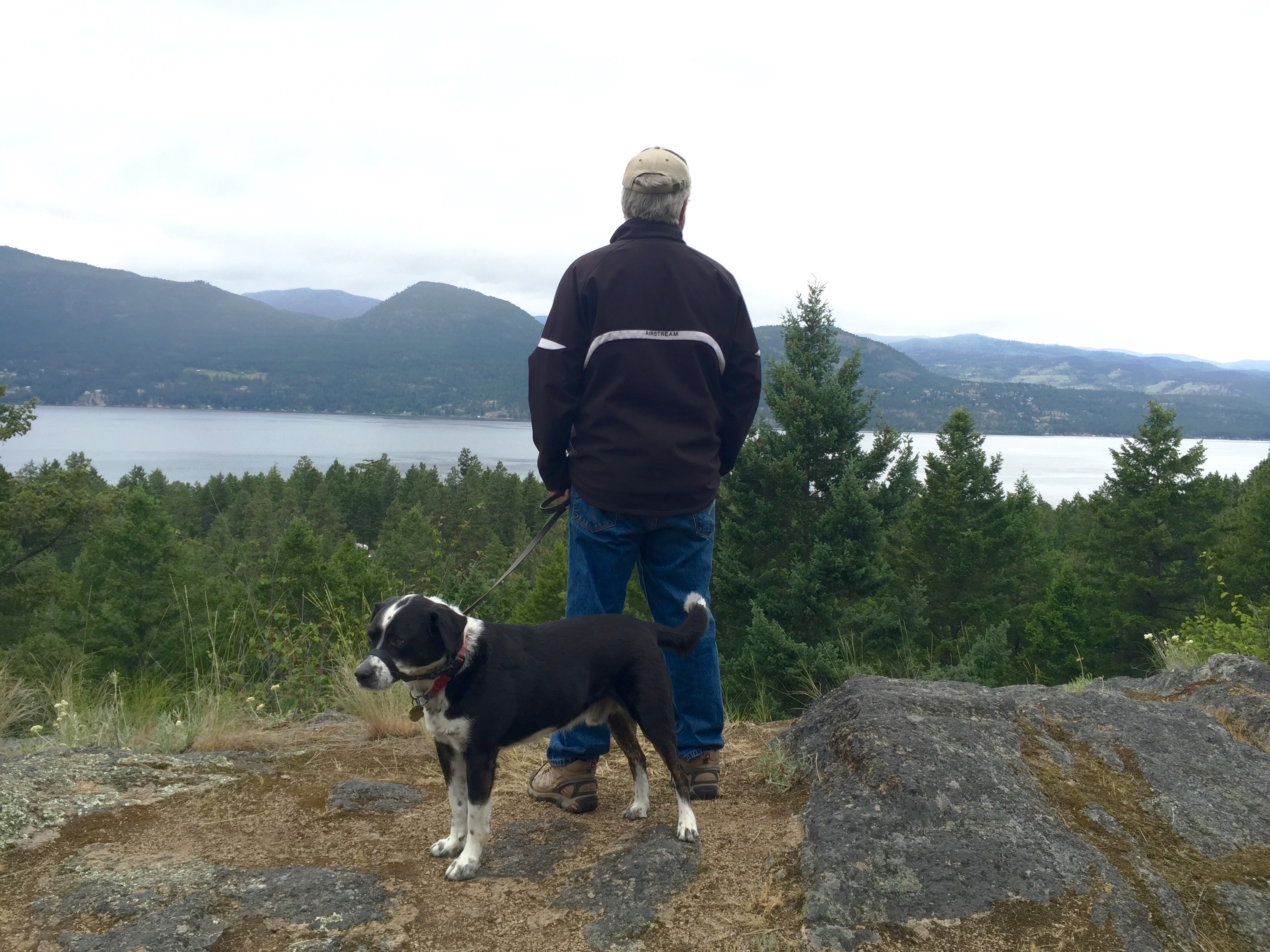 Ellison Provincial Park Campground Reviews updated 2025