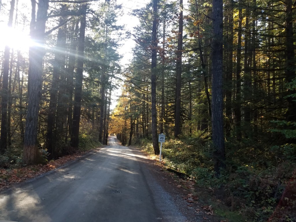 Stoltz Pool Campground Reviews updated 2025