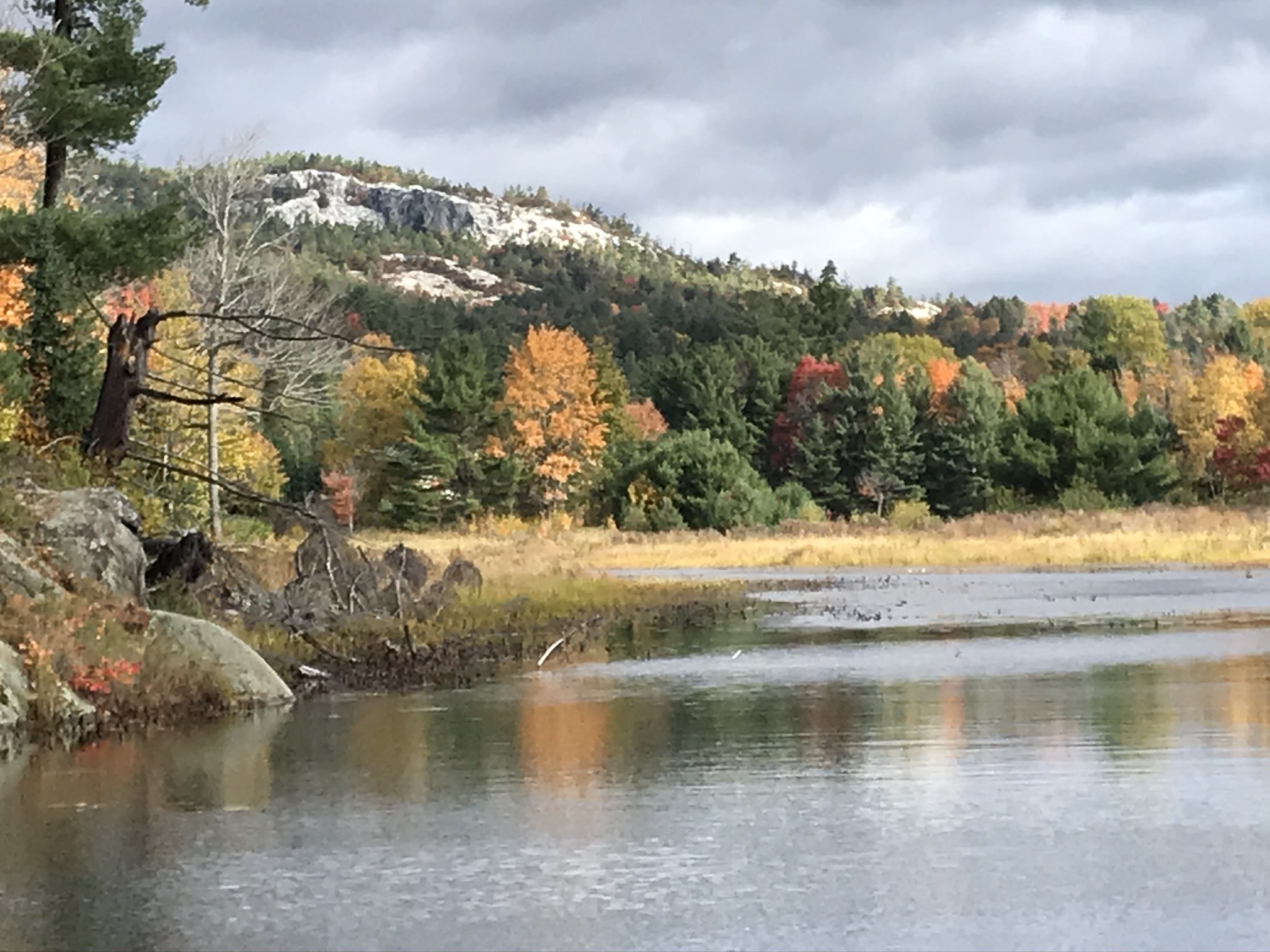 George Lake Campground Reviews updated 2025