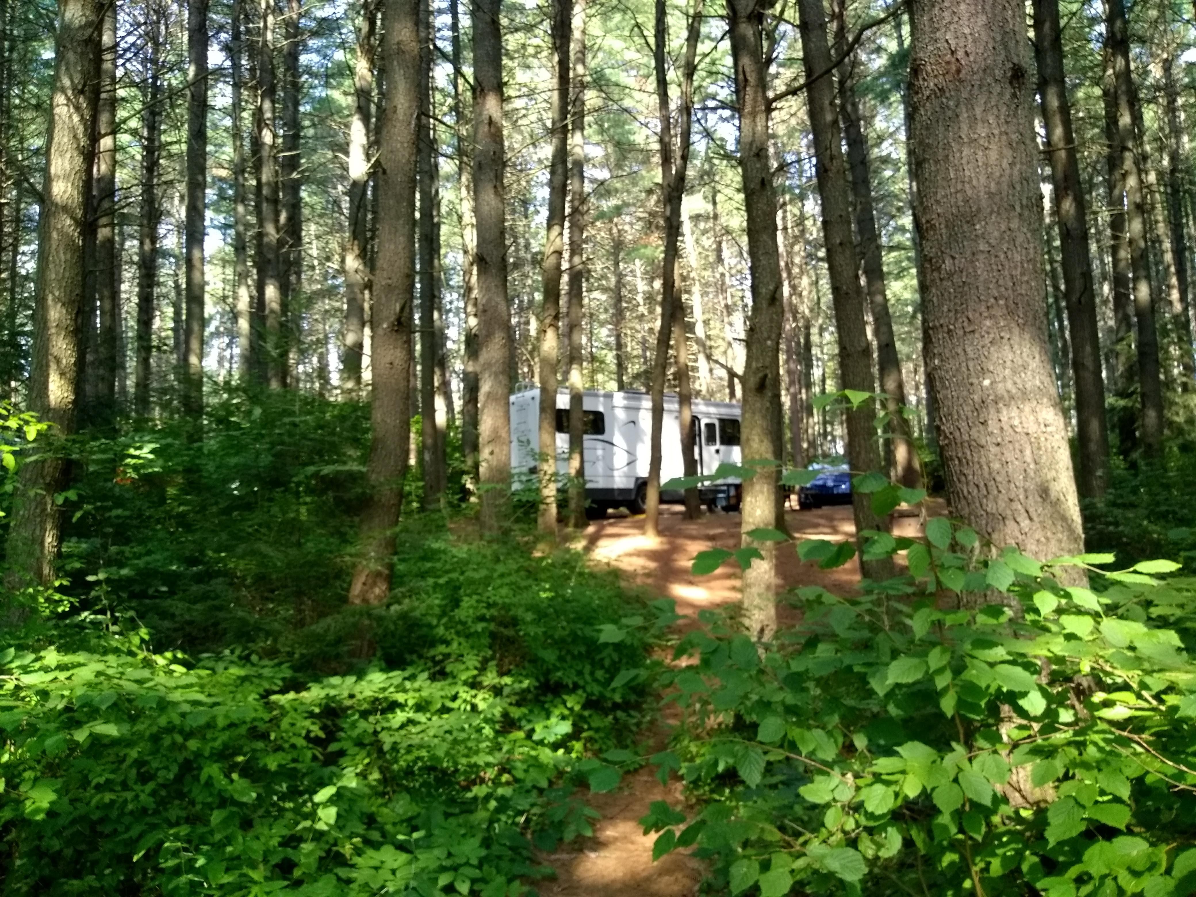 Pog Lake Campground Reviews