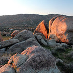 Culp Valley Reviews - Campendium