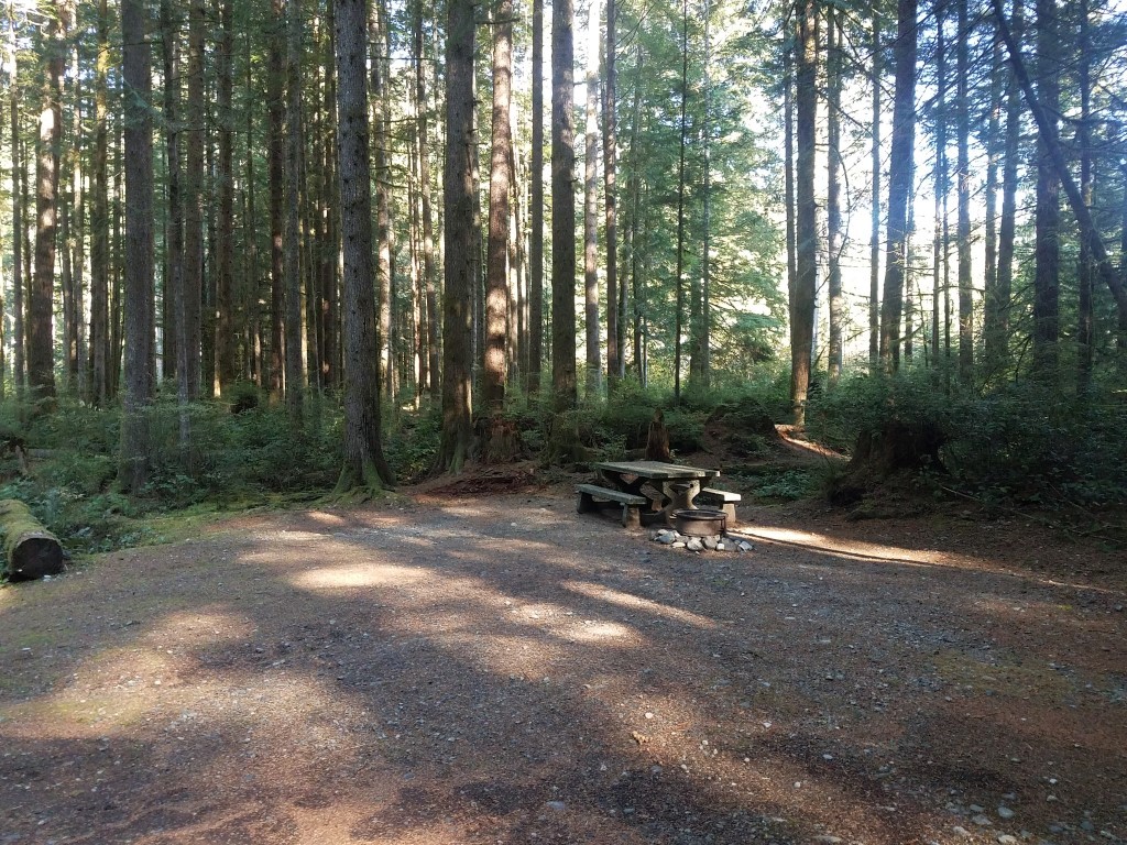 Lizard Lake Recreation Site updated 2025