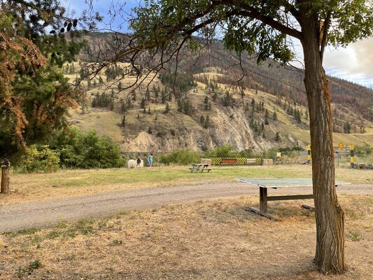 Acacia Grove RV Park & Cabins Reviews updated 2025