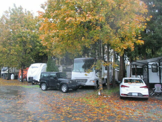 Peace Arch RV Park Reviews updated 2025