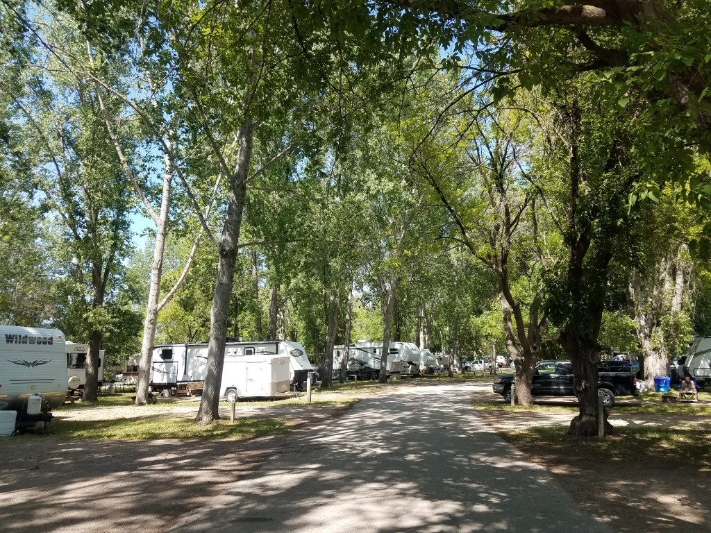 Selkirk Park Campground Reviews updated 2025