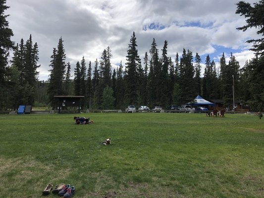 Robert Service Campground Reviews updated 2019