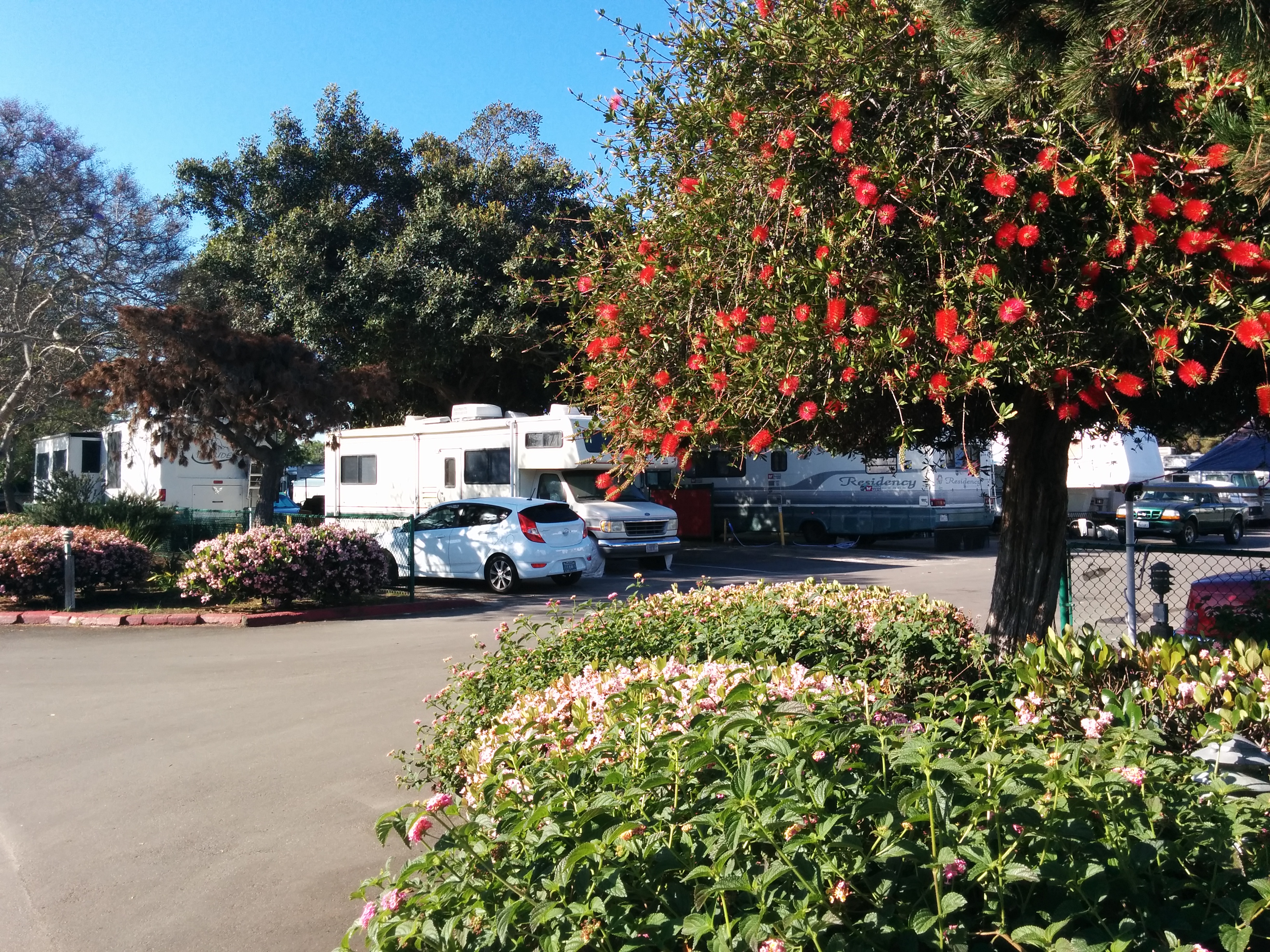 Campland on the Bay Reviews updated 2026