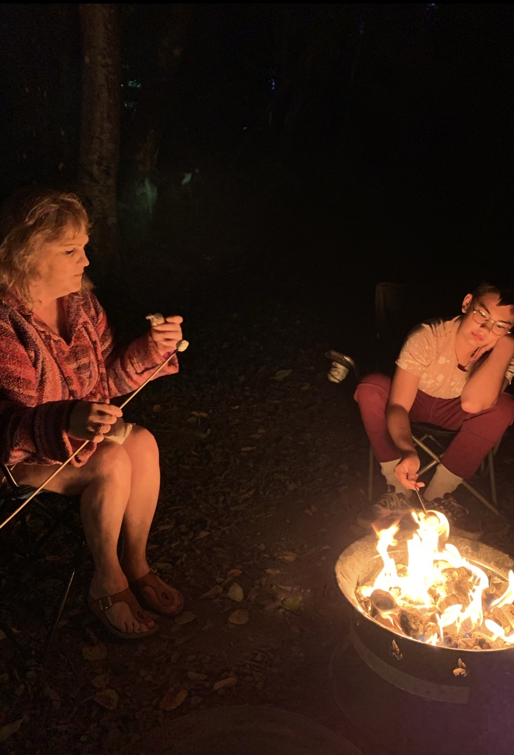 Hazelmere RV Park & Campground Reviews updated 2025