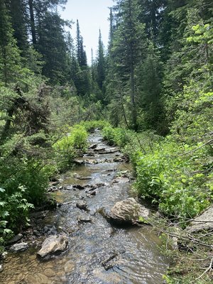 Lake Elsie Campground Reviews updated 2020