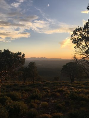 Diamond Point Lookout Tower Dispersed Camping Reviews updated 2025