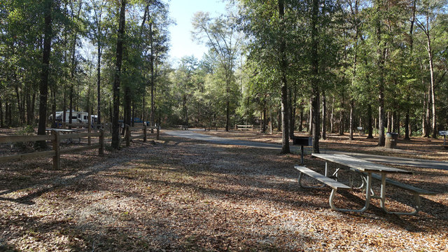 Dead River Landing Recreation Area Reviews updated 2022