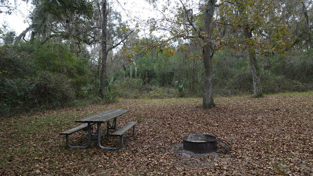 Flying Eagle Preserve Reviews updated 2025