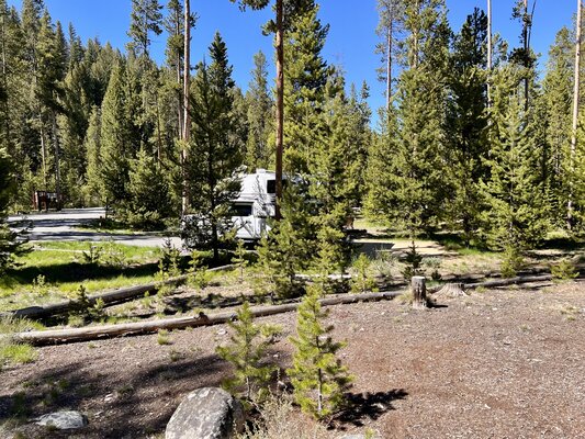 Point Campground Reviews updated 2025