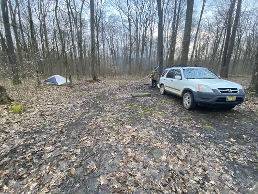 Forest Road 160 Reviews updated 2020