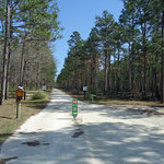 Santee Coastal Reserve Wildlife Management Area Reviews - Campendium